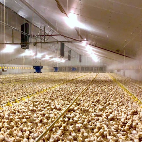 Vostermans Ventilation